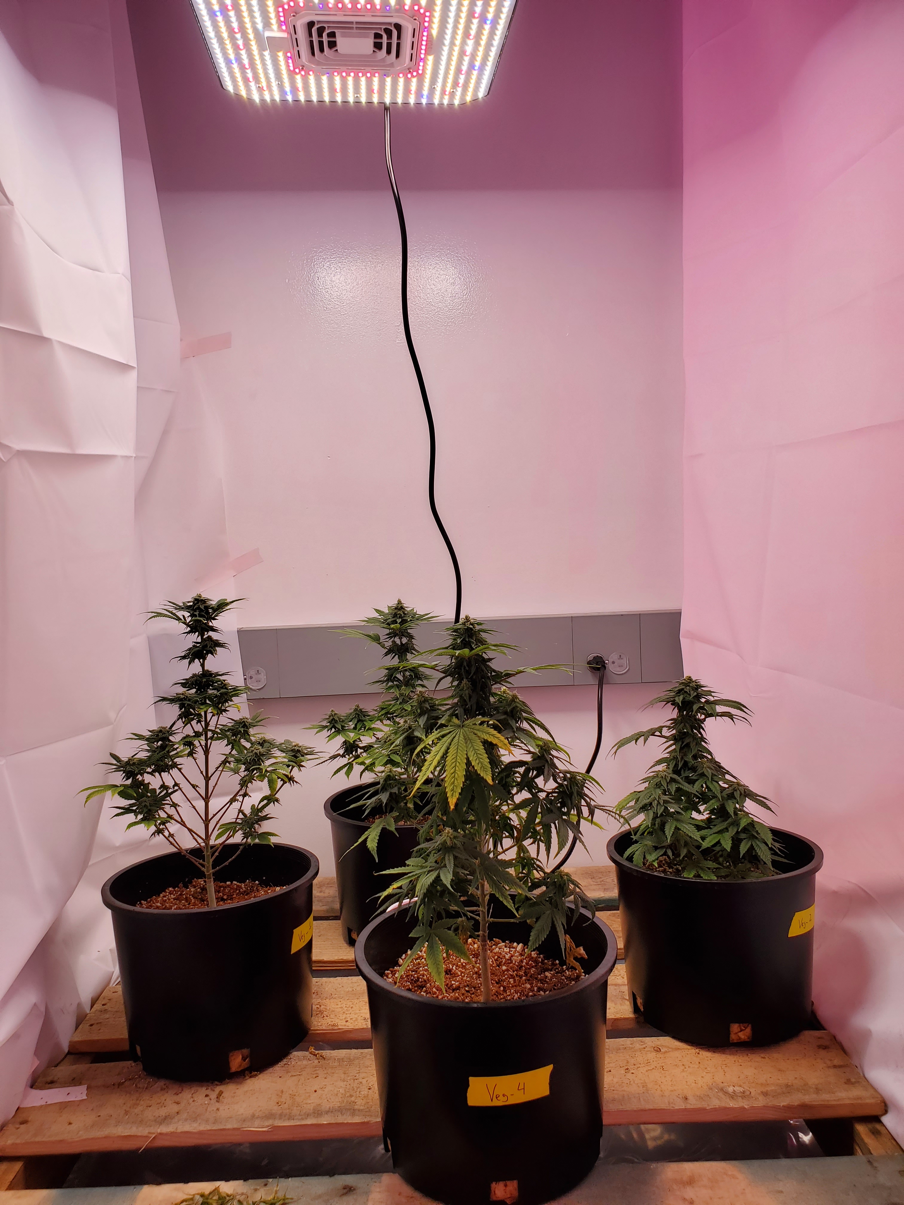 Zierden LabExperimental Grow Lab